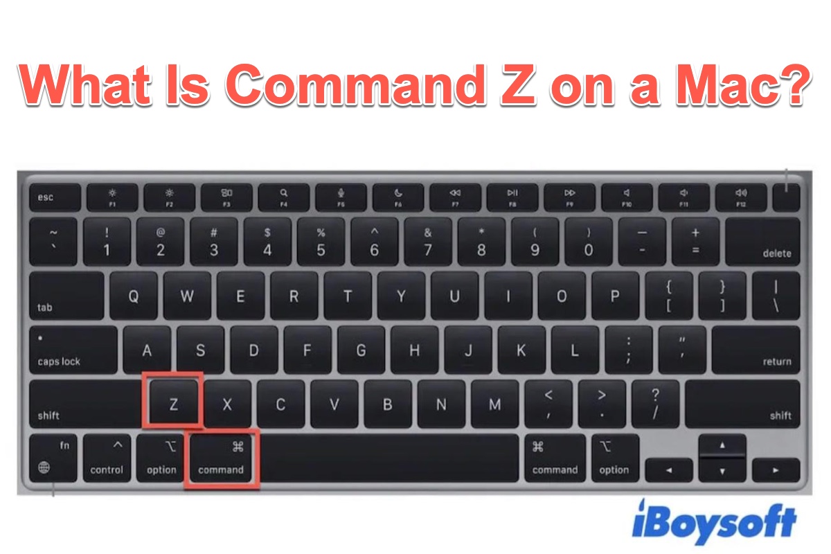 What Does Command Z Do On A Mac 