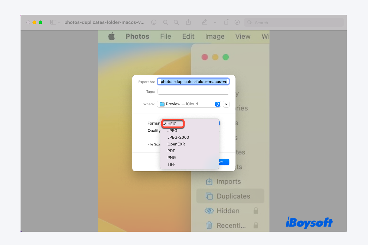HEIC File What Is It How To Convert It To PNG JPEG 